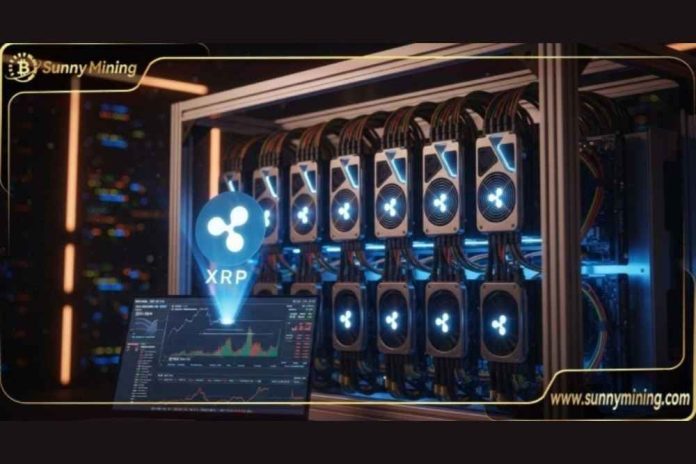 Earn XRP Daily: Sunny Mining Rolls Out Automated Cloud Contracts for Passive Crypto Income ...